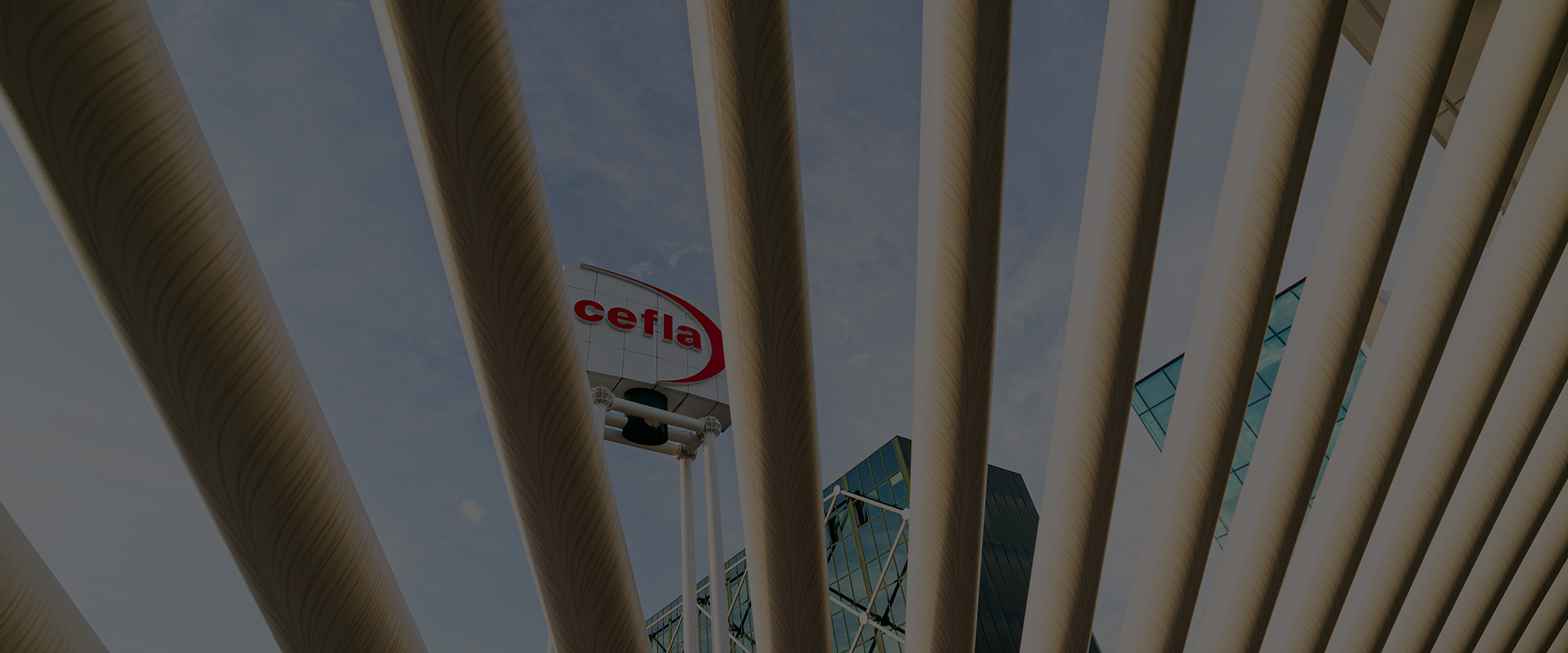 Home | Learning Medical Cefla